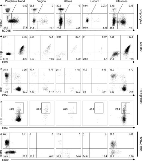 Humanized Cd34 Hsc Transplanted Nsg Mice Exhibit Ccr5 Cd4 T Cell Download Scientific