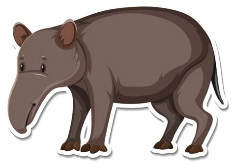 180 Tapir Clip Art Stock Illustrations Royalty Free Vector Graphics And Clip Art Istock