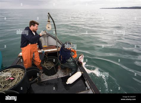Commercial Halibut Fishing By Hand Using Longline Gear Out Of An Open