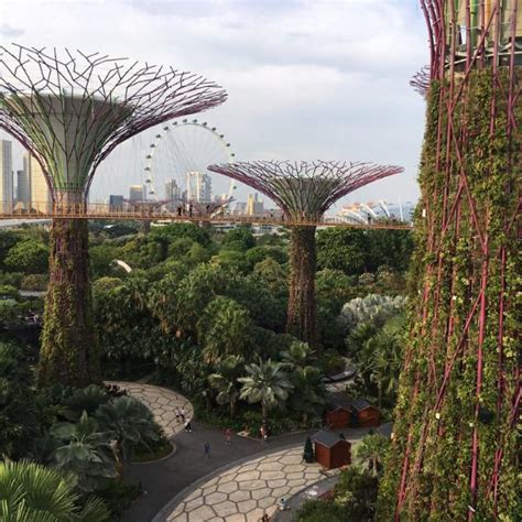 The Impact Of Green Roofs An Article By The National Green Roof