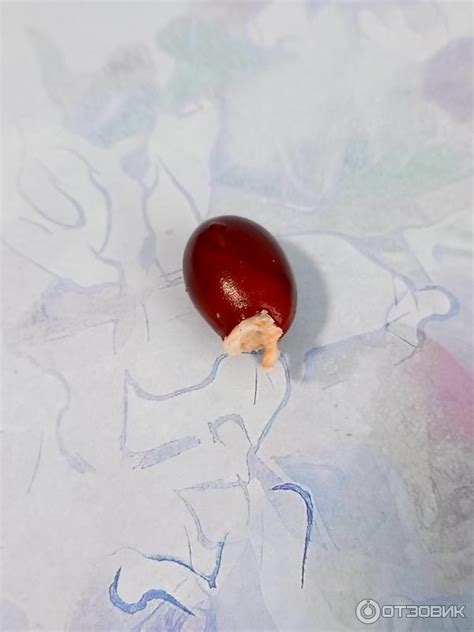 Отзыв о Фрукт Личи Я наврятли повторю покупку