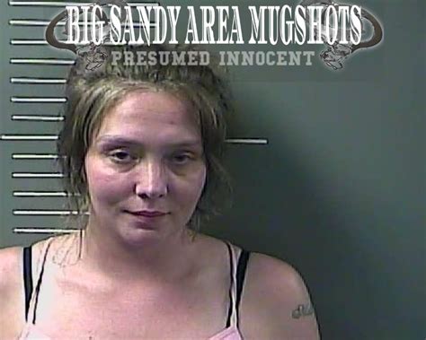 Samantha Johnson Big Sandy Area Mugshots News