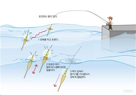 농어찌낚시 네이버 블로그