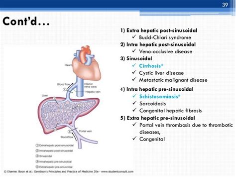 Portal Htn And Cirrhosis
