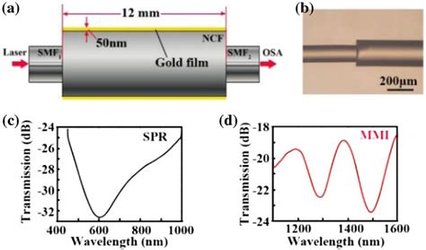 A Schematic Diagram Of Proposed Hybrid Spr Mmi Sensor B Image Of