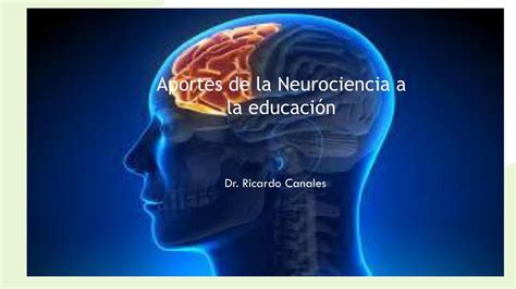 Aporte De Las Neurociencias A La Educación Daniel Eduardo Udocz