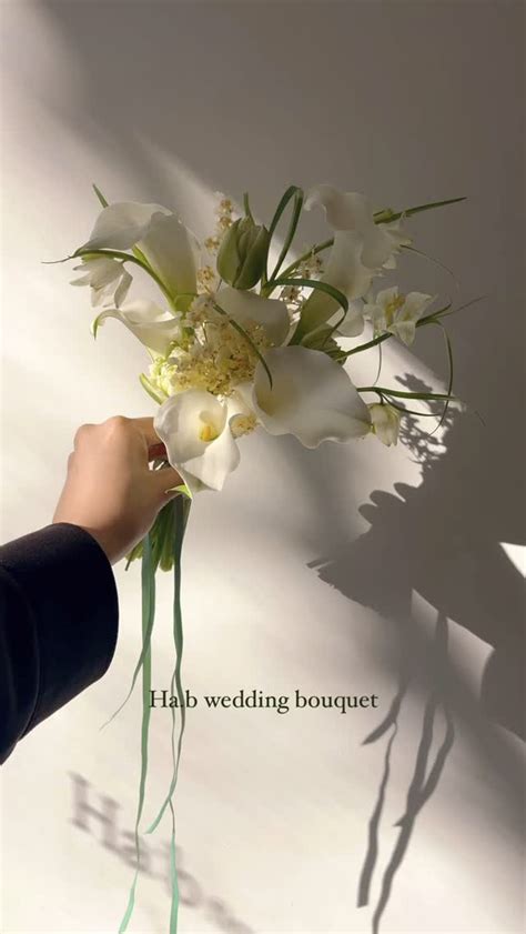 대구꽃집 꽃집창업 플로리스트 수업전문 플라워레슨 대구부케 하비플라워 이번겨울 첫 프리탈라리아 🤍 ️order 상단 프로필 링크 010 6775 2528 ️