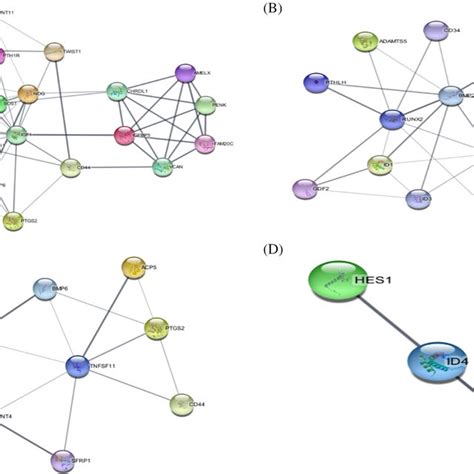 Protein Protein Interaction Analysis Using String Database A For
