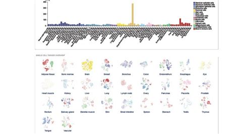 The Reln Colbos Variant Confers Protection By Limiting Functional Demyelination Of The Perforant