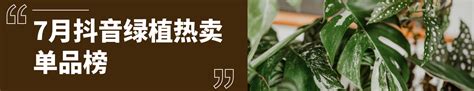 品牌榜 消费专题榜 营销榜 达人榜 Cbndata