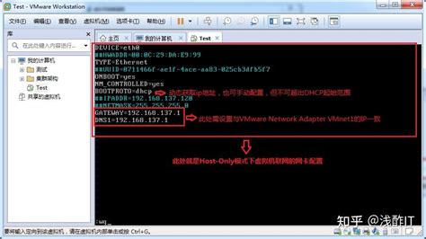 Vmware 虚拟机三种网络模式 的区别 知乎