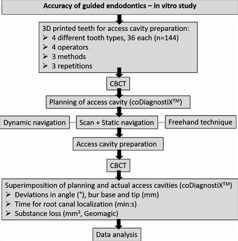 Comparing Accuracy In Guided Endodontics Dynamic Real Time Navigation Static Guides And