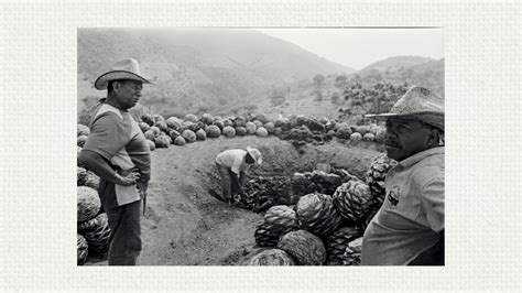 The History Of Mezcal An In Depth Look Mezcal For Life
