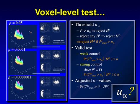 Ppt Parametric Thresholding Methods Random Field Theory And False