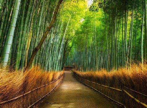 Tour Du L Ch Nh T B N Ng Y M Gi R Vietnambooking K Nh D Nh