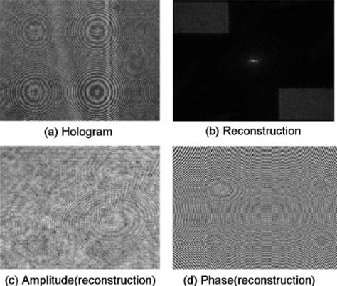 A Recorded Phase Hologram Of The A Lens B Fourier Reconstruction