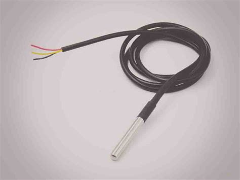 Temp Sensor Ds B Piddlerintheroot