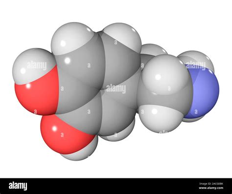 Dopamine Neurotransmitter Molecule Computer Model Showing The Molecular Structure Of The Human