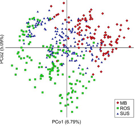 principal coordinates analysis pcoa representing genetic distances
