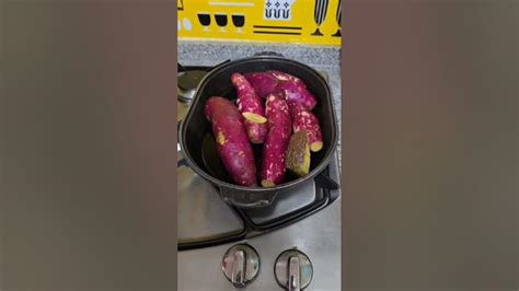 봄이되오니 고구마도 썩어가며 몸살을 하네요 Youtube