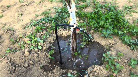 Капково напояване Youtube