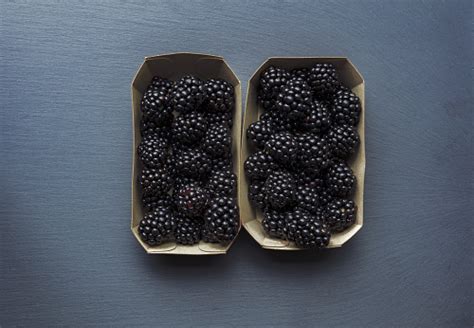 회색 배경에 갓 수확 한 블랙 베리와 두 개의 종이 상자의 상단 보기 0명에 대한 스톡 사진 및 기타 이미지 0명 개체 그룹 건강한 식생활 Istock