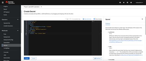 Deploy On Red Hat Openshift Docs