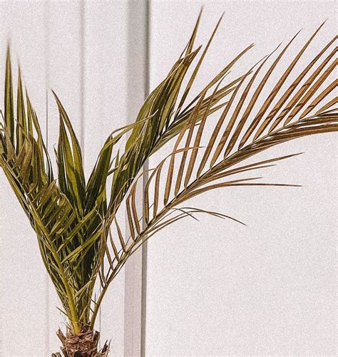 Weekly Truth Truth How To Memorize Things Whatever Is True