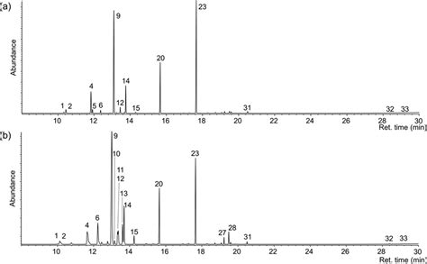 A Gc Ms Total Ion Chromatogram And B Py Gc Ms Total Ion Download Scientific Diagram