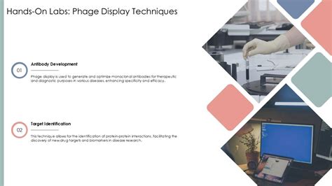 Hands On Labs Phage Display Techniques Phage Display Method Ppt Template St Ai Ss Ppt Slide