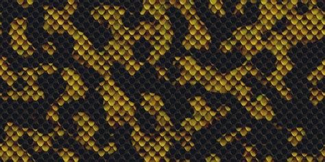 Rattlesnake Pattern Stock Photos Images And Backgrounds For Free Download