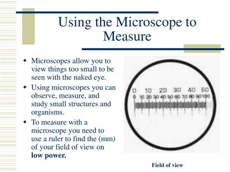 PPT Microscope Notes PowerPoint Presentation Free Download ID 27346