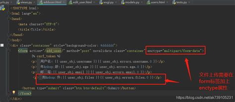 Django框架（十八）：form组件之字段类型及参数、widget定制html插件、file文件上传小知识integerfield类型生成