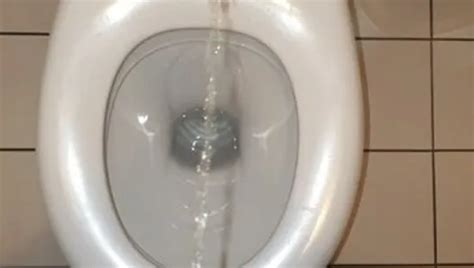 Master Ramon Massages And Pisses A Bit In The Department Store Toilet Awesome Xhamster