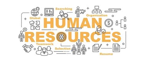 Recursos Humanos Vectores Iconos Gráficos Y Fondos Para Descargar Gratis
