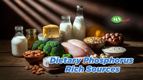Phosphorus Rich Foods For Optimal Nutrition And Bone Health Best