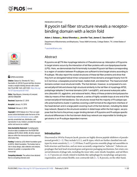 Pdf R Pyocin Tail Fiber Structure Reveals A Receptor Binding Domain