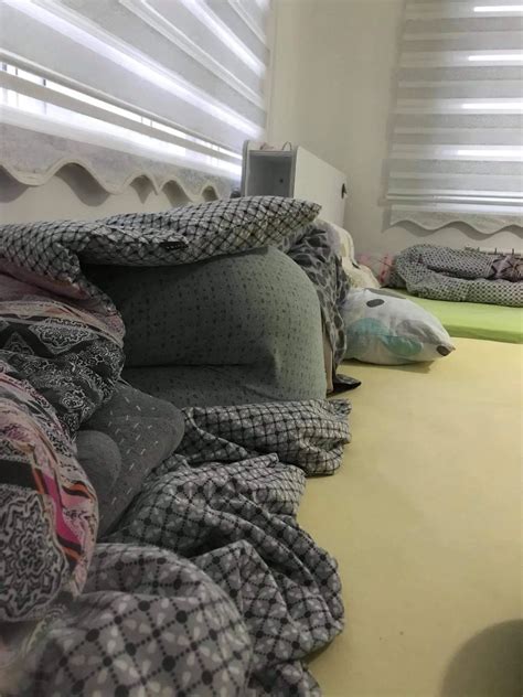 Upvote If You Want To See More Of My Cousin Scrolller