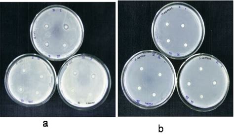 Inhibitory Activity Of Ethyl Acetate Extract Of P Incarnata L Download Scientific Diagram