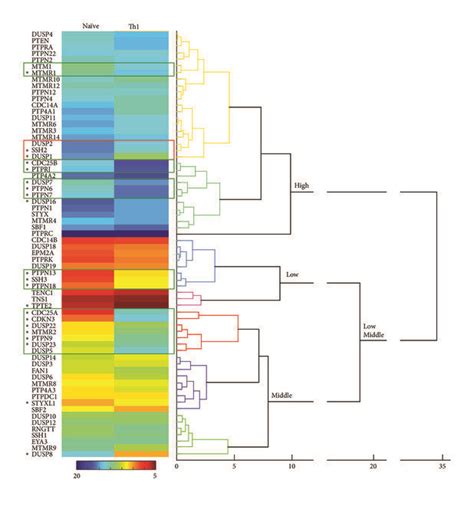 Agglomerative Hierarchical Tree Of The Gene Expression Patterns In