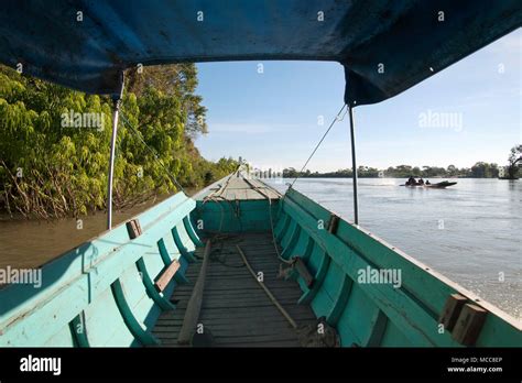 Mekong River Stung Treng Cambodia Long Boat Passing Mangroves On The