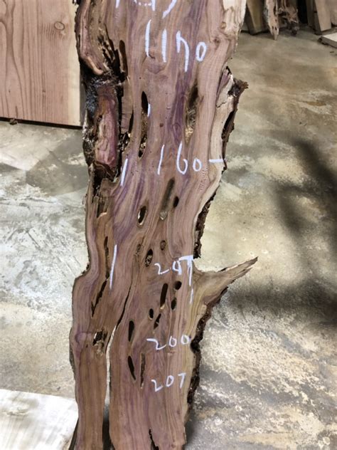 대추나무 먹감나무 느티나무자두나무 네이버 블로그