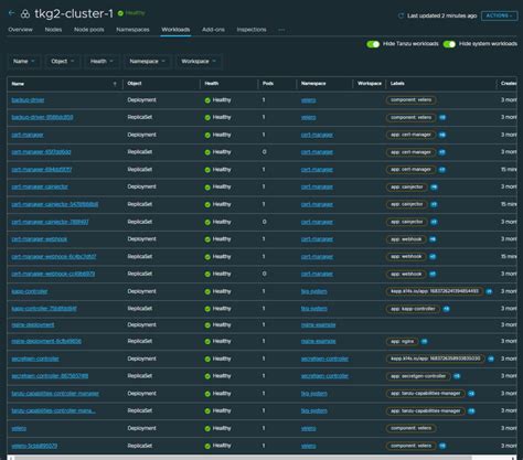 managing a vsphere 8 with tanzu workload cluster in tanzu mission