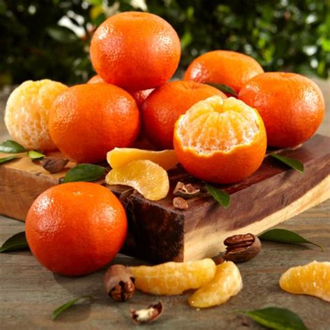 Florida Oranges Articles Countryside Citrus