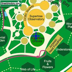 Supertree Grove Gardens By The Bay Bay South Image Singapore