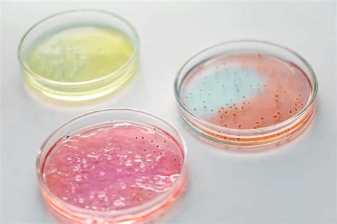 Biopore Advanced Bioaugmentation Culture Diva Envitec