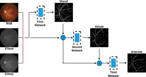 Structure Of The Cascade Supervised Mini Unet Csmi Unet Download