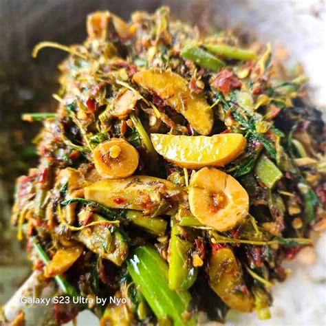 Selena ရောင်းအား အကောင်းဆုံး Itemလေး။ မျှစ် ဇရစ် မကျည်းရွက် တညင်း