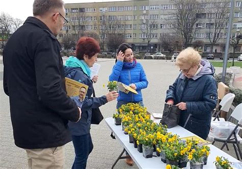 Bratki Od Kandydatów Trzeciej Drogi Olesnicainfo Pl