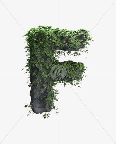 Ivy Font On Yellow Images Creative Fonts S73031